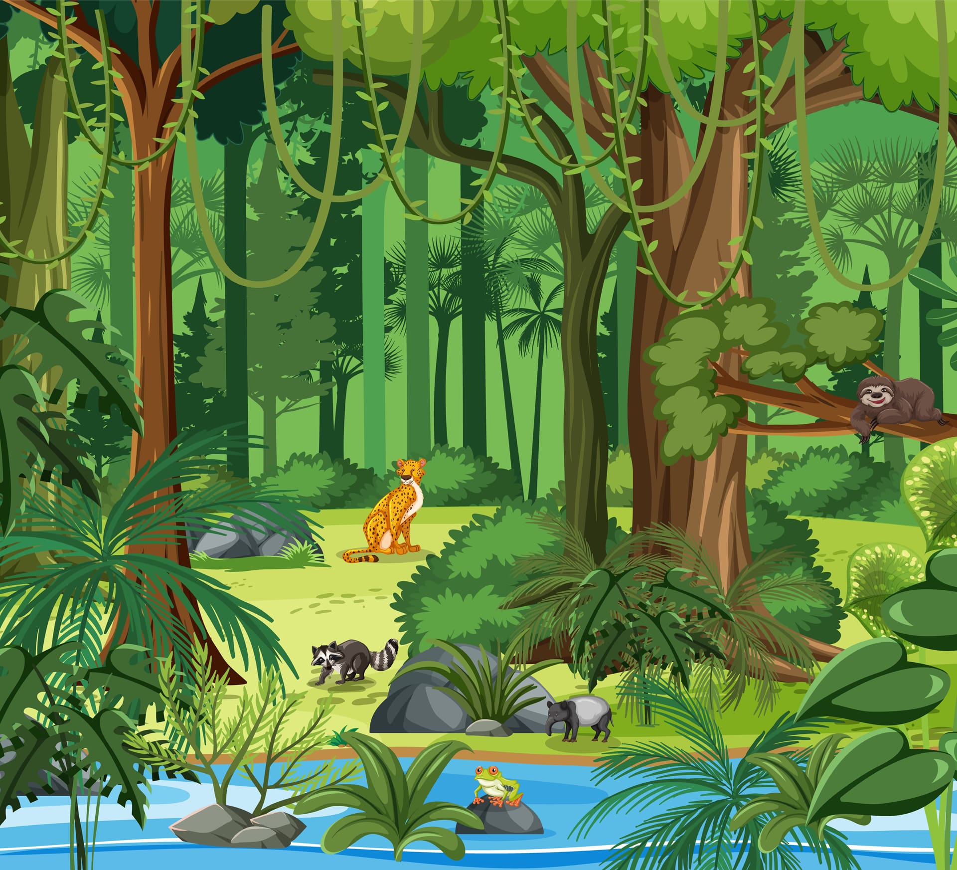 Rainforest Clip Art | kmkm.com